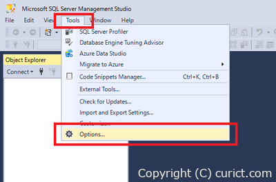 SQL Server Management Studio 19 の日本語化
